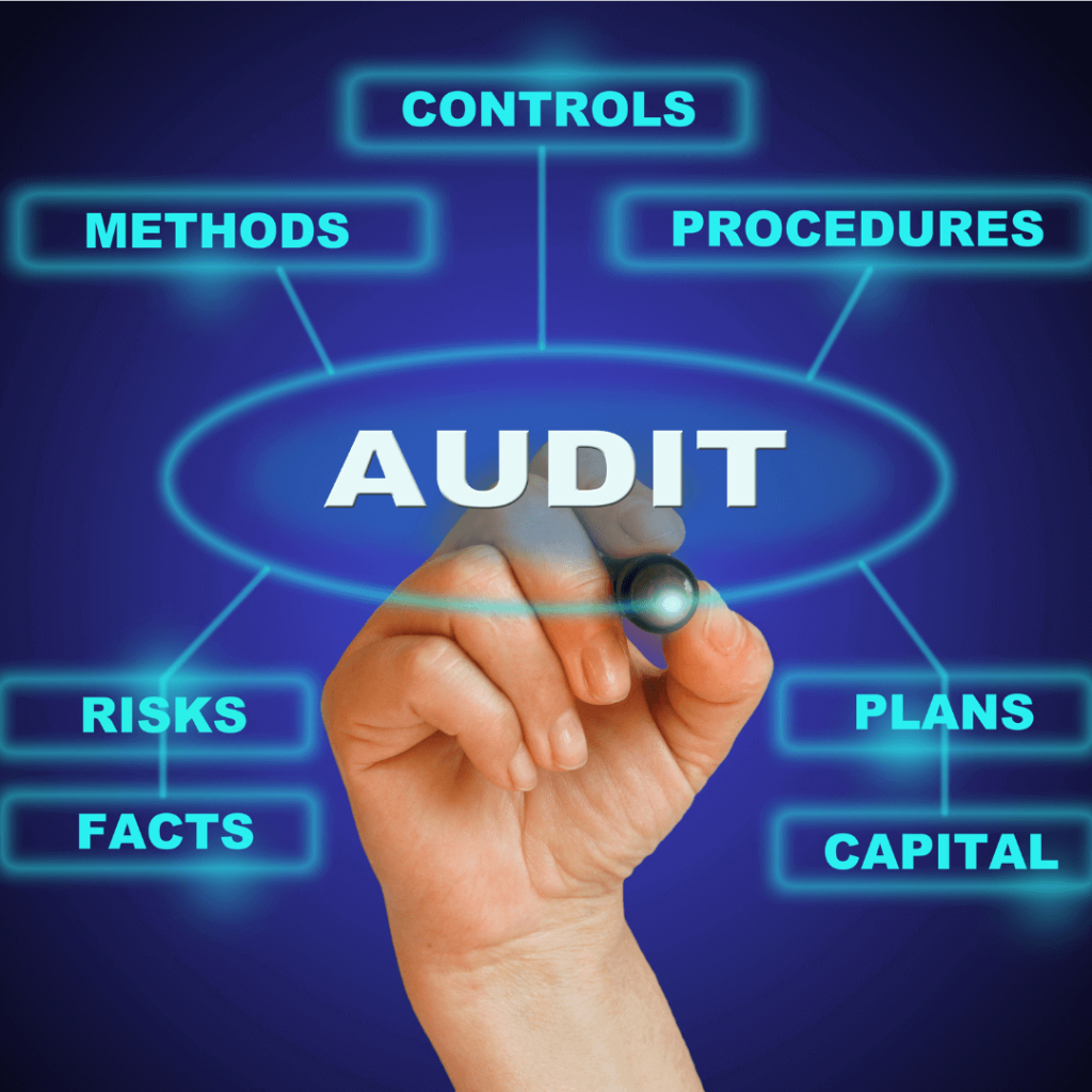 Management Audit - Benefits & Implementation | I.P. Pasricha & Co